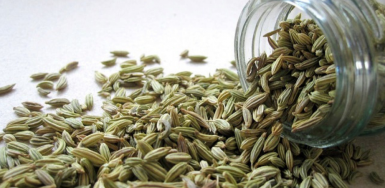 Fenicul – proprietati, recomandari, retete - Sfaturimedicale.ro