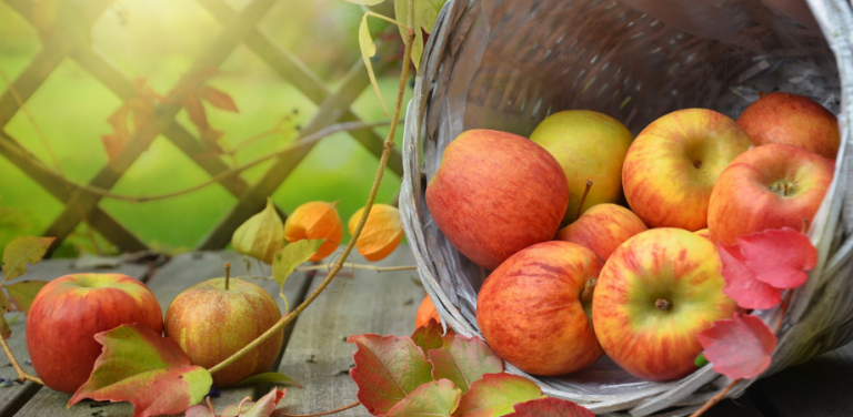 Mere – beneficii si proprietati – Sfaturimedicale.ro