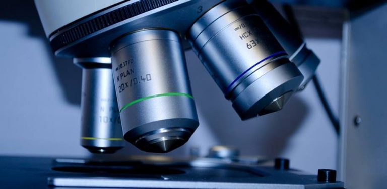 Leucocitele in sange si urina: ce inseamna valorile marite sau scazute ...