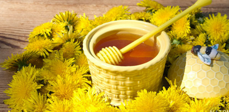 Papadia – beneficii, remedii, contraindicatii – Sfaturimedicale.ro