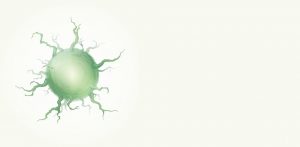 Varicela (varsatul de vant) - cauze, simptome- Sfaturimedicale.ro