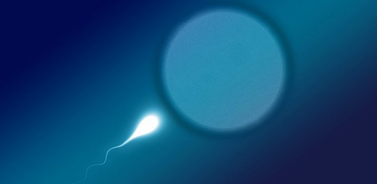 Inseminarea artificiala – tot ce trebuie sa stii – Sfaturimedicale.ro