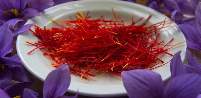 Sofranul – beneficii si utilizari – Sfaturimedicale.ro