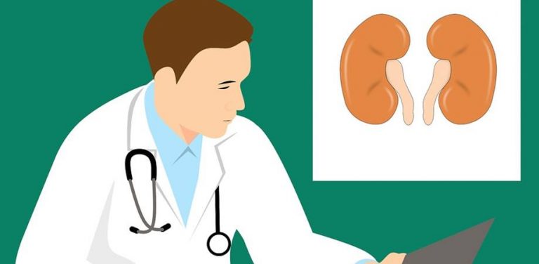 Uree serica – ce este, care sunt valorile normale – Sfaturimedicale.ro