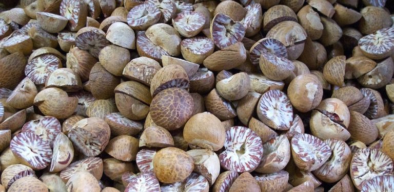 Nucsoara – compozitie, beneficii, recomandari – Sfaturimedicale.ro