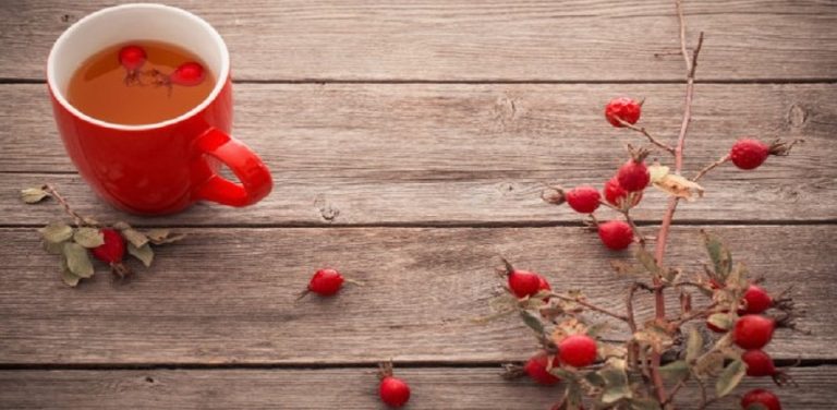 Macesele – beneficii, utilizari, contraindicatii – Sfaturimedicale.ro