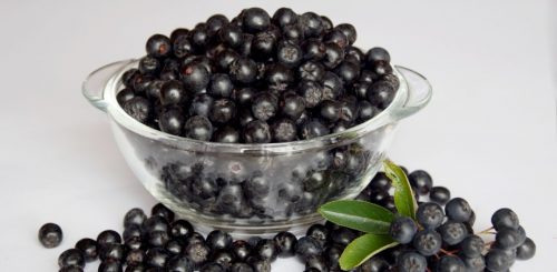 Fructele de aronia – beneficii si recomandari – Sfaturimedicale.ro