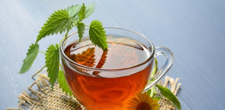 Toxocaroza – cauze, simptome, tratament – Sfaturimedicale.ro